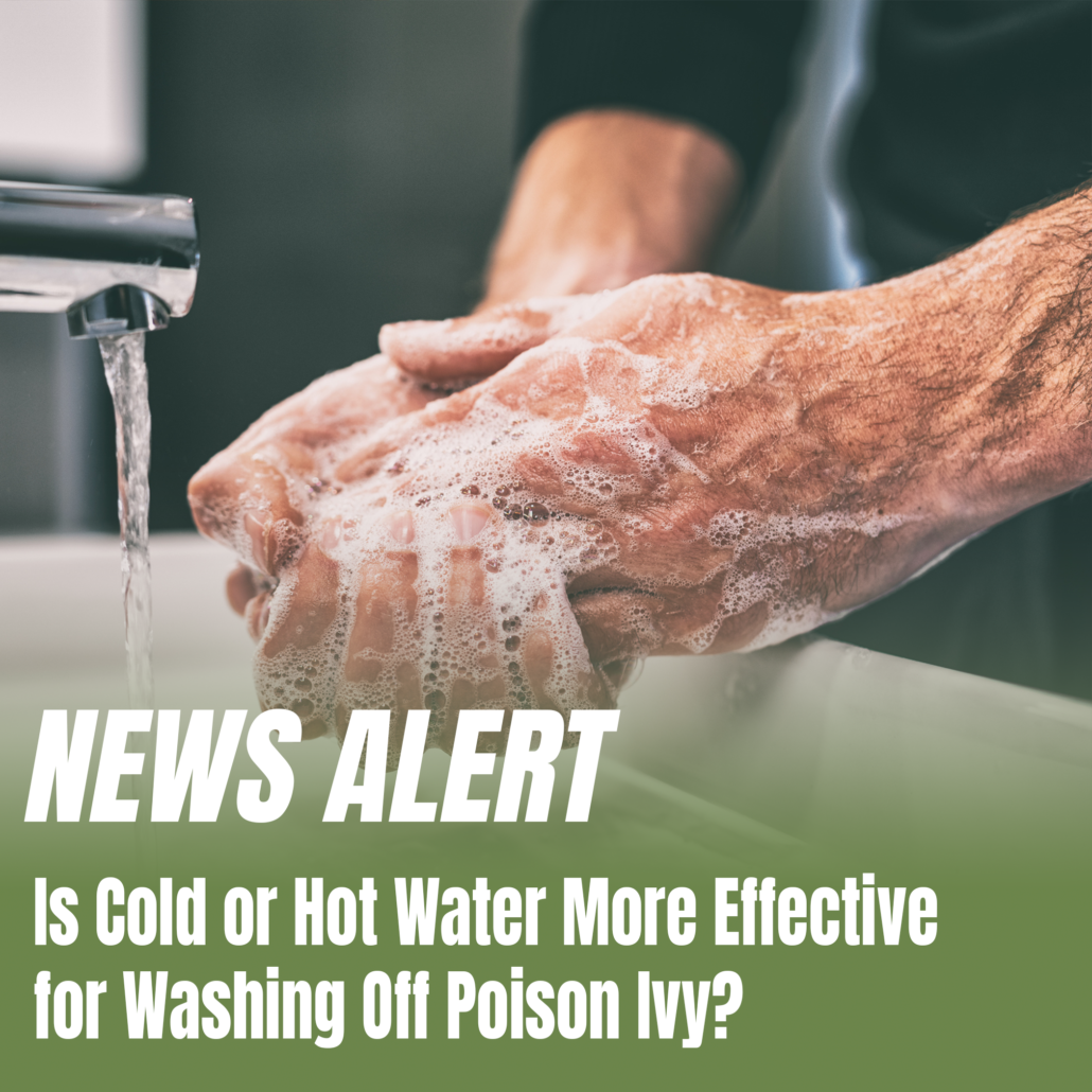 Is Cold or Hot Water More Effective for Washing Off Poison Ivy? | R&R ...